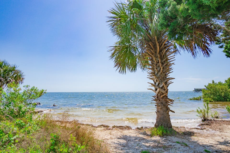 Things to Know About Crystal River – Discover Its Hidden Gems