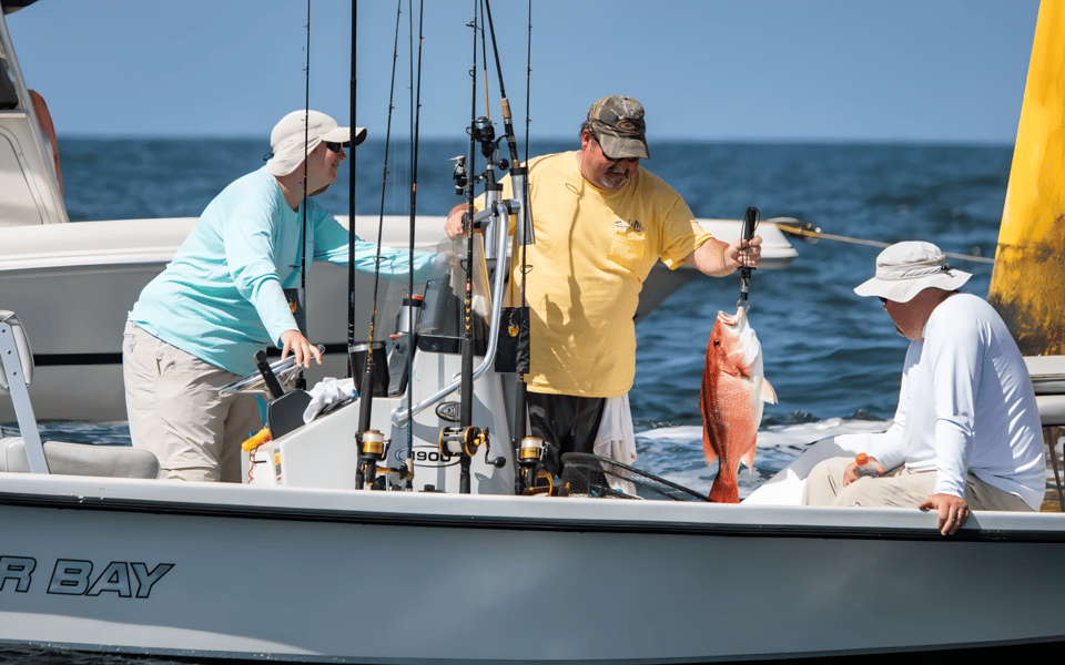Snapper Season is Here! What You Need to Know