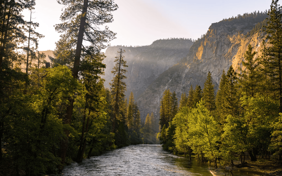 10 Best Hiking Trails in Altadena, CA | Blog | Amy Engler