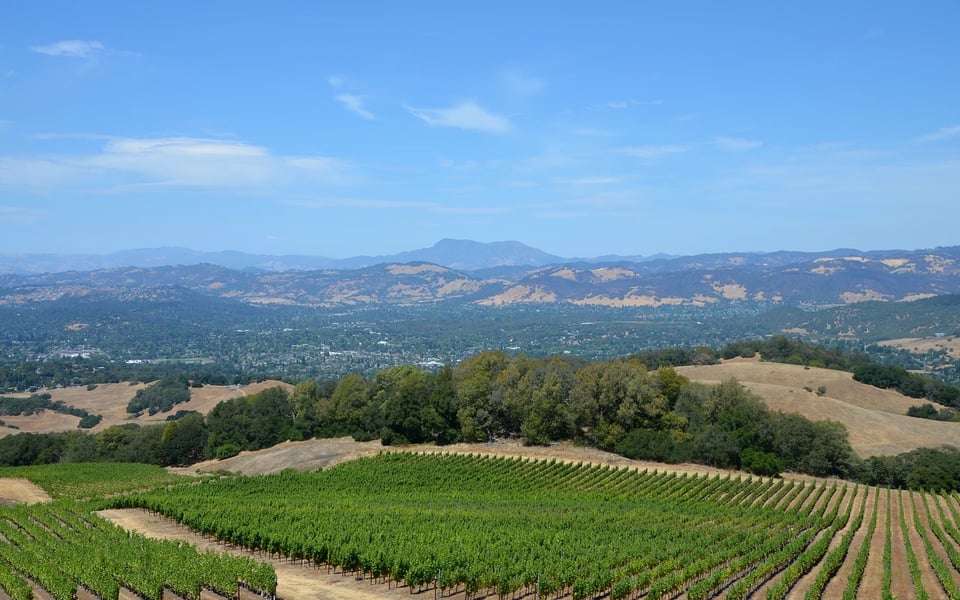 A Day in the Life: What It’s Like to Live in Santa Rosa, CA | Blog ...
