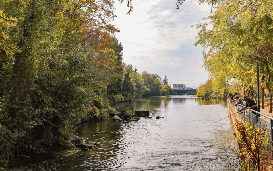 Explore the Best Neighborhoods in Bellingham, WA – Discover Your Ideal Home