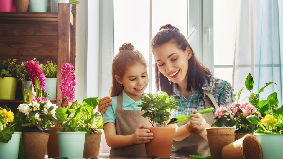 Is Spring the Best Time to Buy or Sell a Home in Suntree?