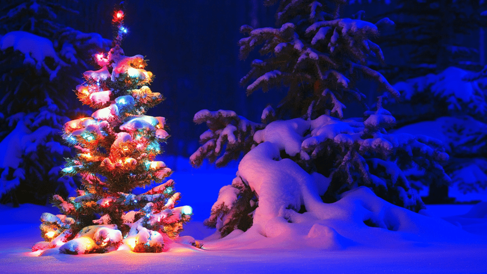 Let It Snow at Promenade | PV: Magical Snowfall and Holiday Fun in ...