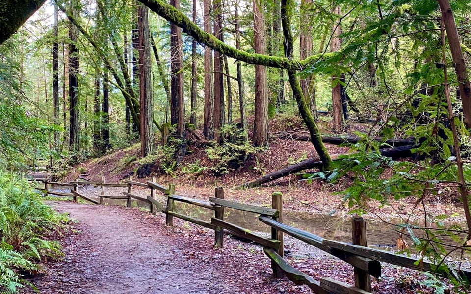 Kentfield | Community Guide | Donna Goldman | San Francisco Bay Area ...