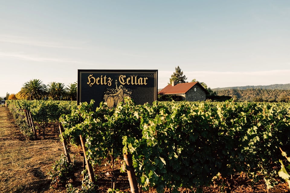 9 Napa Businesses Giving Back to the Community | Ginger Martin