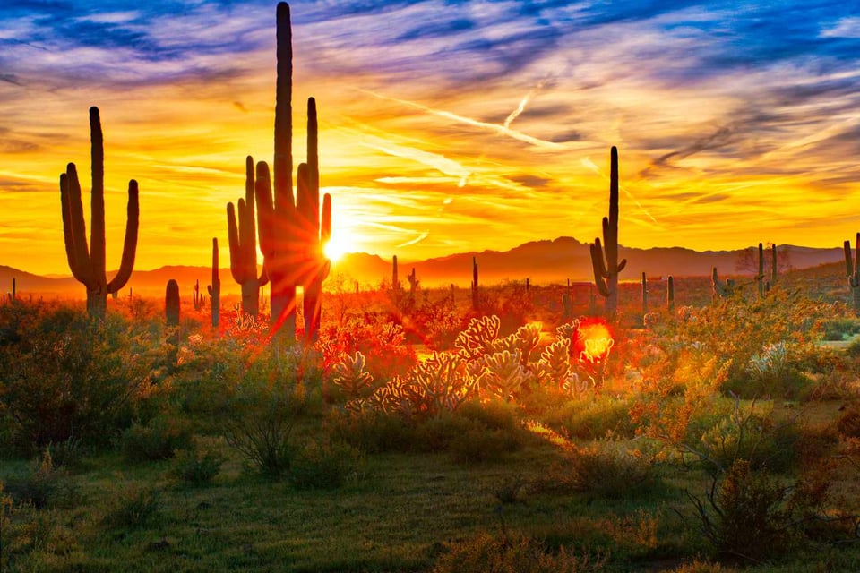 Summer Events & Family Fun in Fountain Hills, AZ