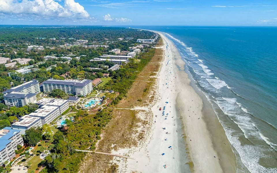 Forest Beach | Community Guide | Tristan O'Grady