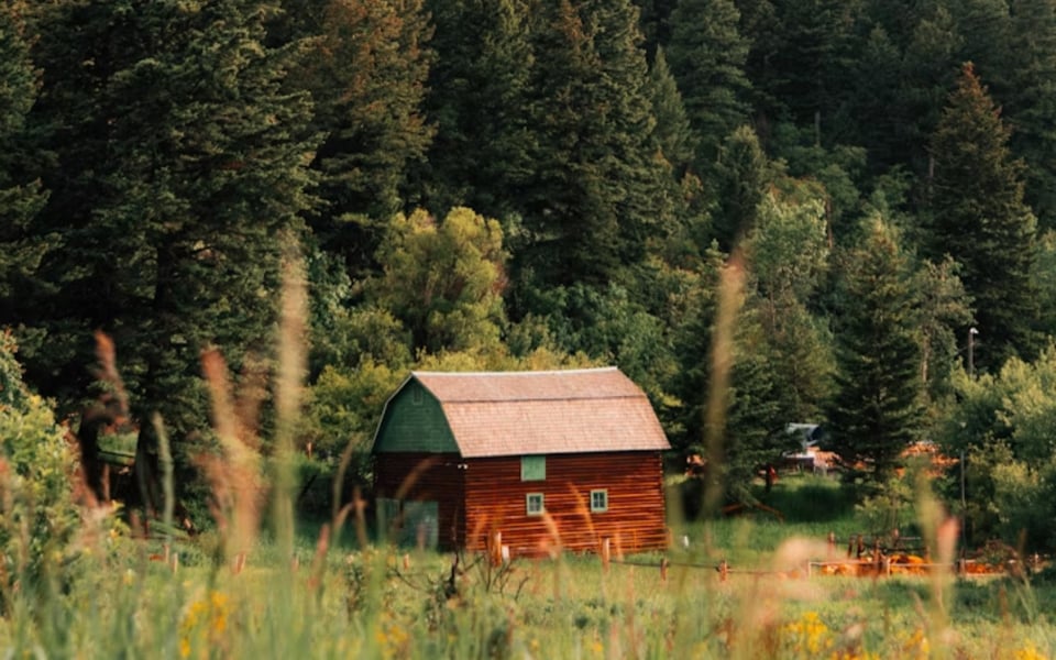 Bozeman's Best Neighborhoods for Relocation | Joy Vance