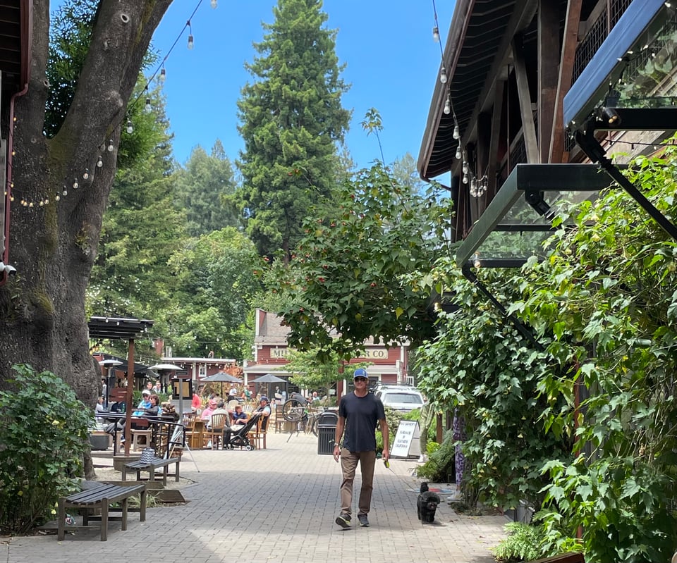 Neighborhood || Mill Valley