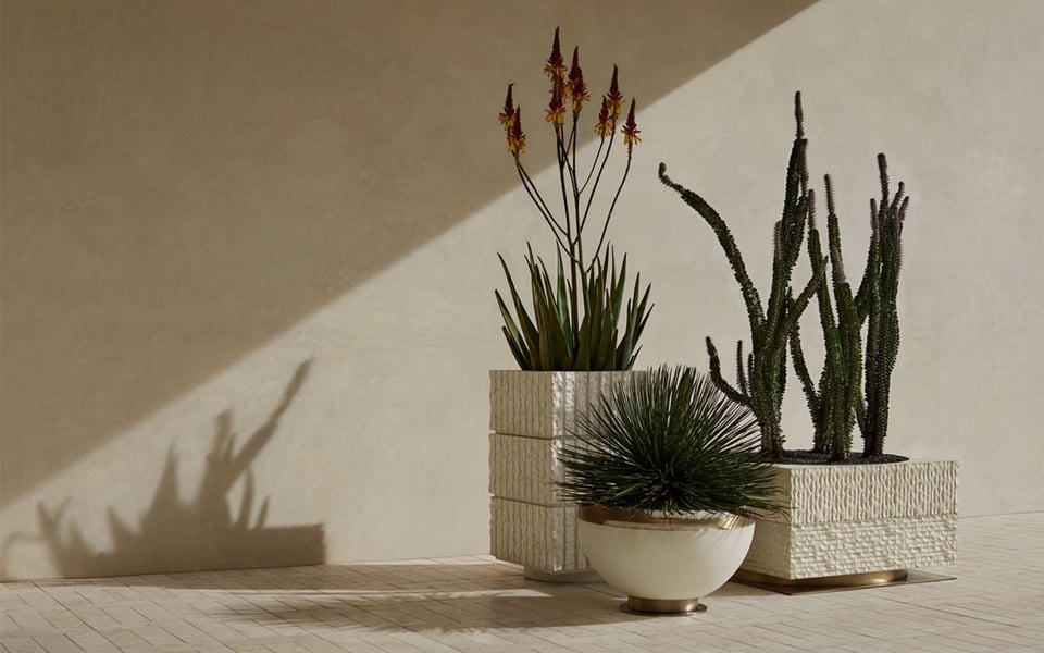 Q & A with Adam Sirak | Craig & David Homes | Blog