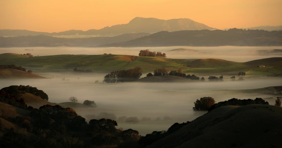 Visit Sonoma - Sonoma County | Excellerate Real Estate