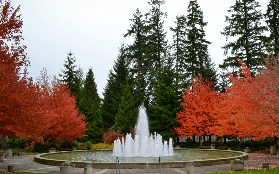 Redmond | Neighborhood Guide | The Agency Seattle