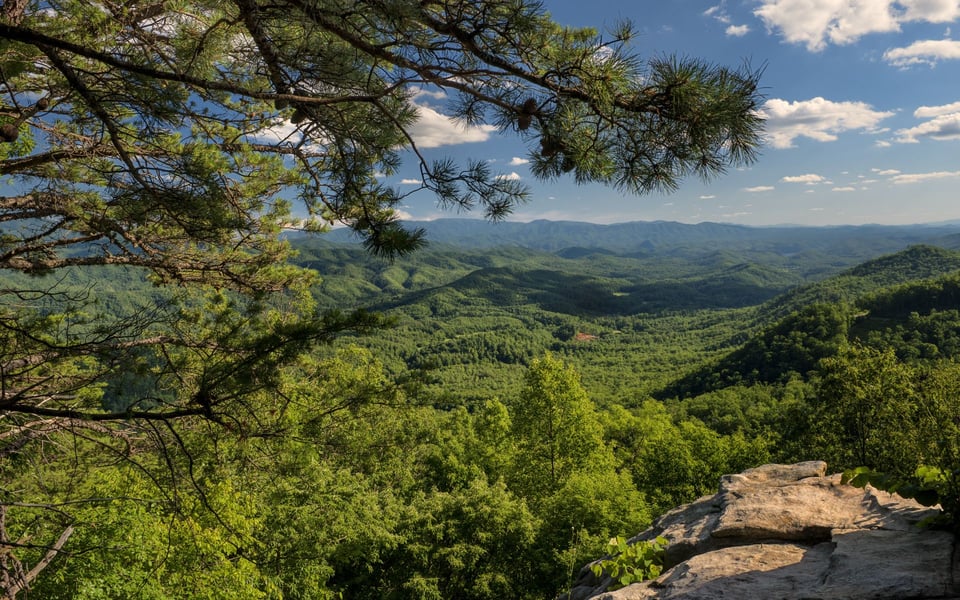 West Knoxville | Neighborhood Guide | Jennifer Scates