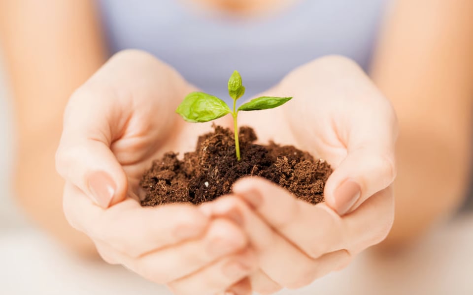 Home Buyers Value Environmentally Friendly Features