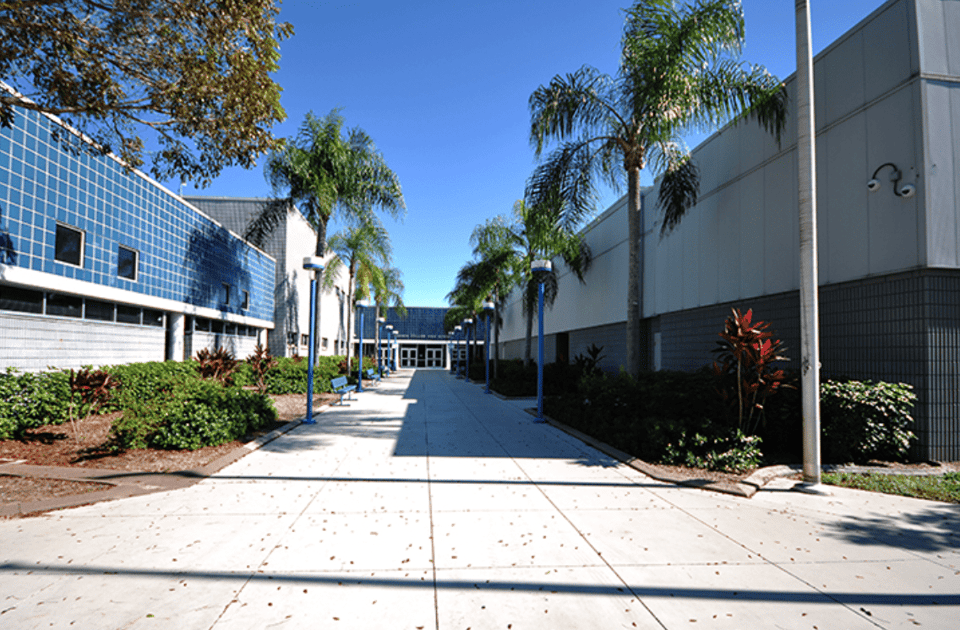 Navigating the Collier County School System: A Guide for New Naples ...