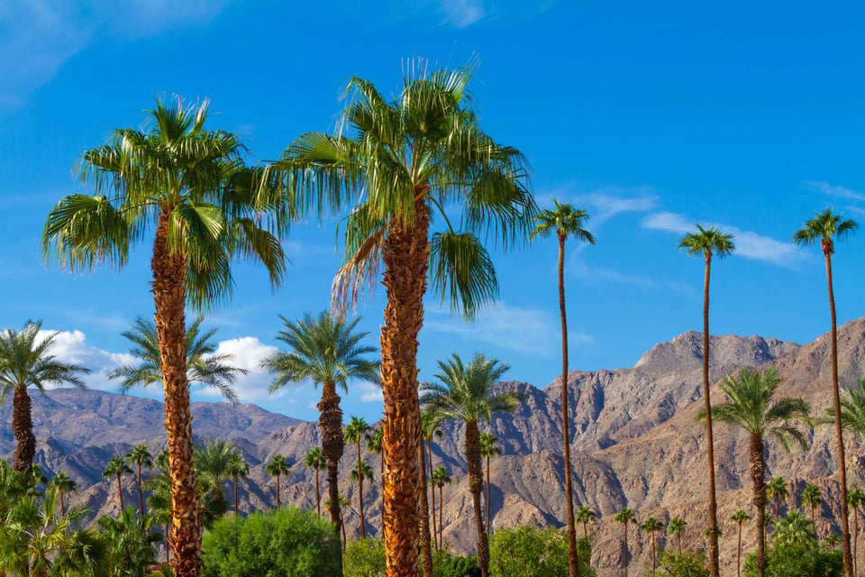 Clancy Lane | Neighborhood Guide | Desert Cities Home