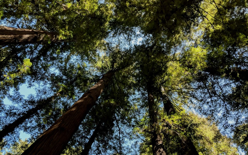 6 Day Trips From Los Gatos | Blog | Kelly Dippel | KDG Realty