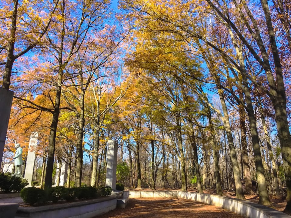 Off the Beaten Path in DC | David Hatef