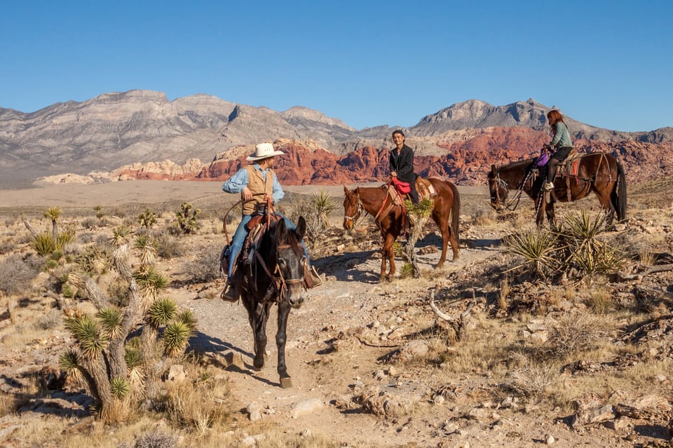 Experience Authentic Western Adventure with Cowboy Trail Riders in Las ...