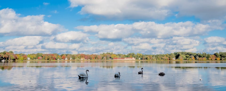 Norton - A Picturesque Oasis of Hush and Natural Beauty