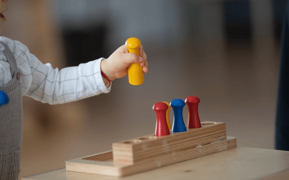 Nurturing Potential: Exploring Educational Options for Different ...