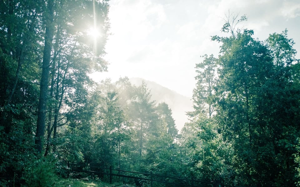 Uncover Cherry Log: Mountain Views with Laura Elleby