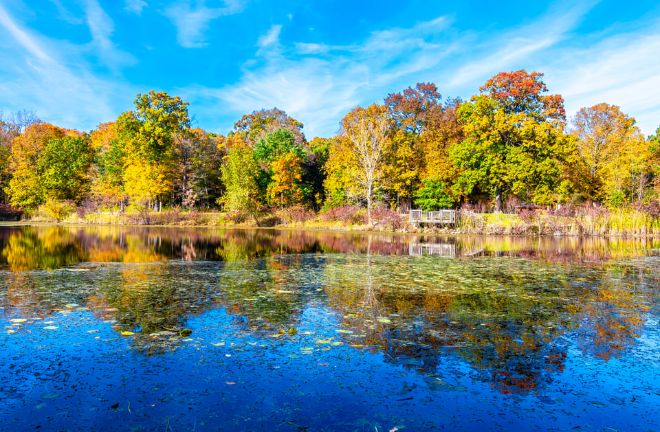 Mettawa: Explore Luxury Homes in a Quiet, Exclusive Community