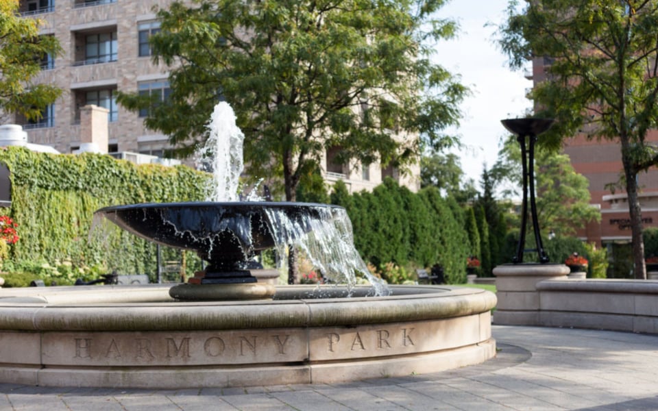 Arlington Heights | Neighborhood Guide