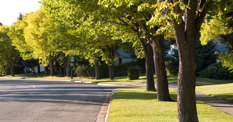 Best Walkable Neighborhoods for Young Professionals in DC and Northern ...