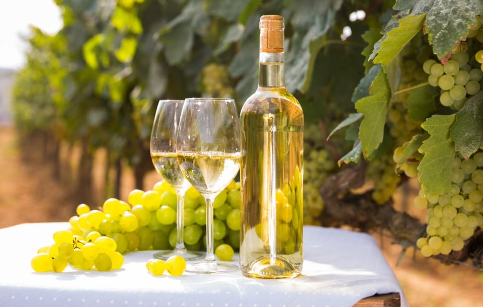 Wine County - Sonoma County | Excellerate Real Estate