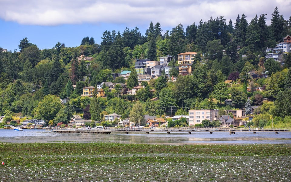 Explore Kirkland | Neighborhood Guide | Lara Nelson