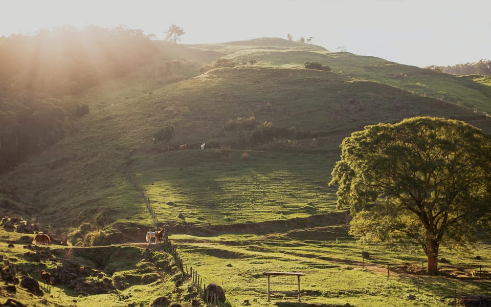 Waimea: Uncover the Charm of Hawaii's Waimea