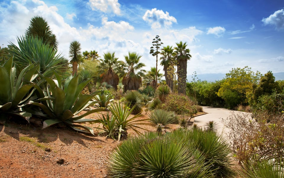 Meet Palm Desert: Your Partner in Real Estate Excellence