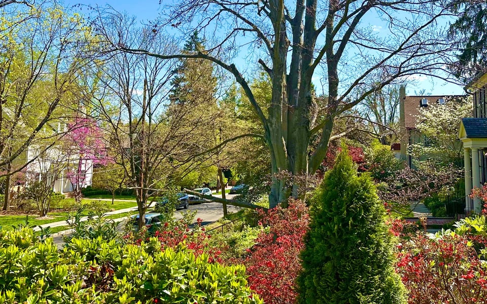 Wesley Heights DC Real Estate | Neighborhood Guide