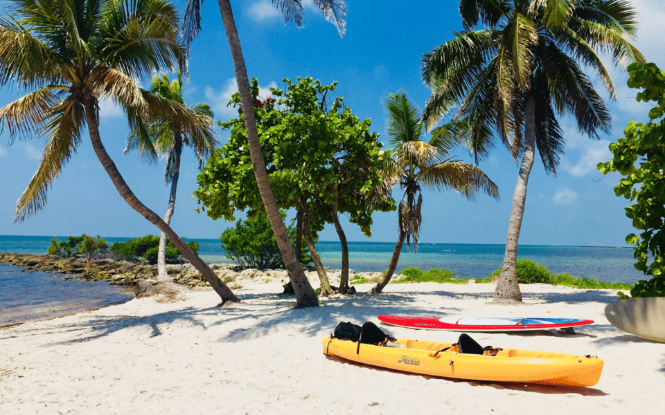 Living in the Florida Keys | Blog | OceanSIR