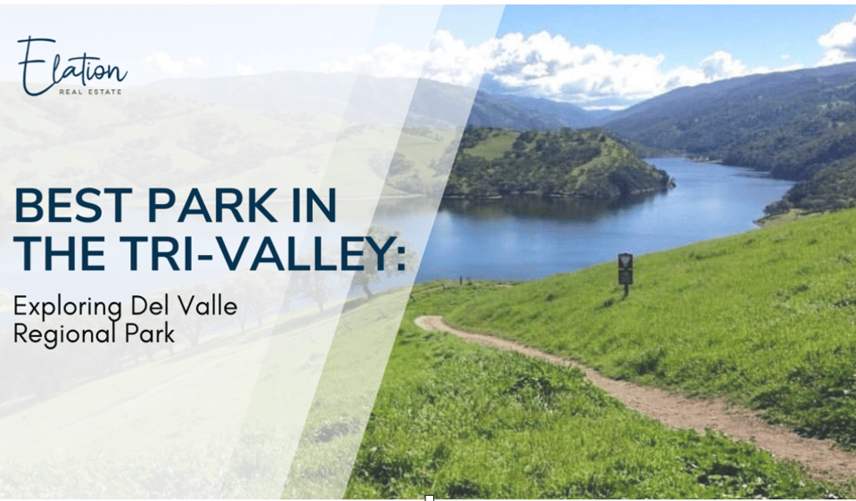 Best Park in the Tri-Valley / Gina Piper