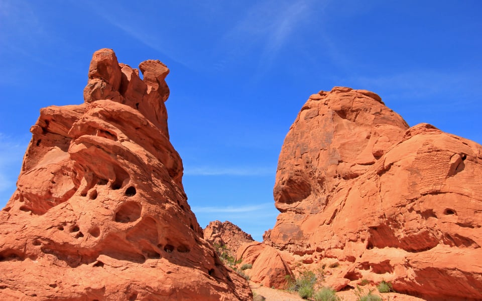 Seven Hills | Neighborhood Guide | Jennifer Littlefield