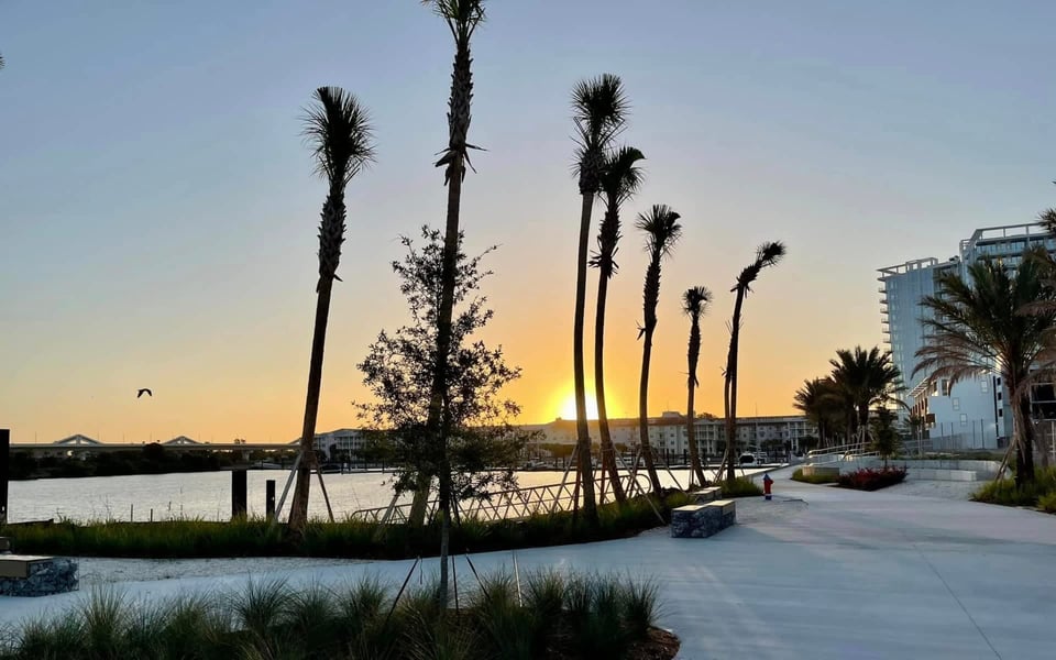 South Of Gandy | Neighborhood Guide | Frank Albert Realty