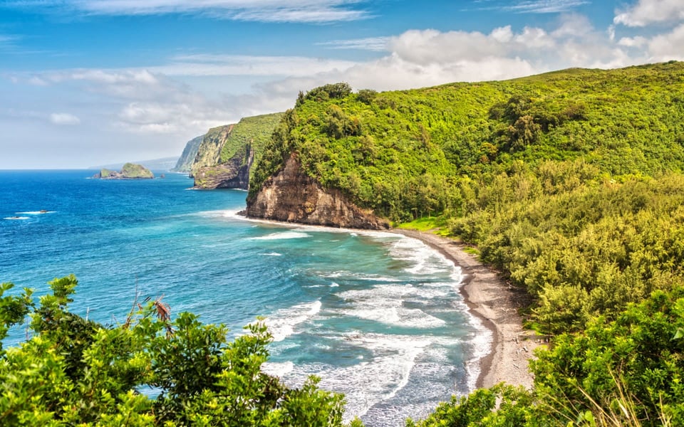 Kapaau | Neighborhood Guide