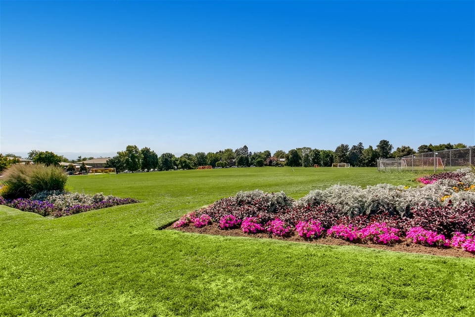 Hilltop, CO Neighborhood Guide | Homes & Lifestyle
