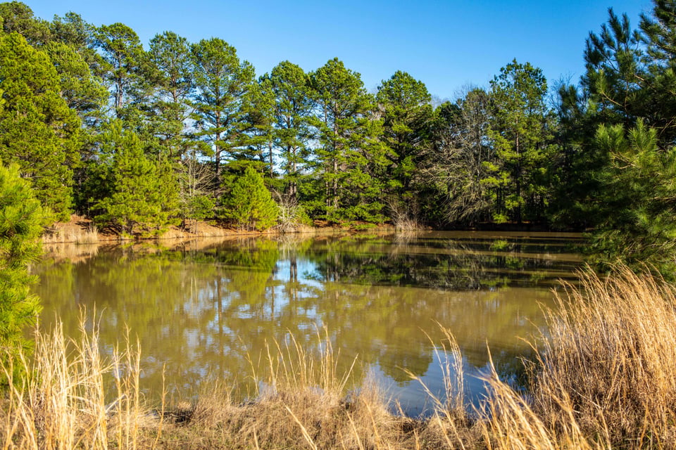 42 Acres CR 222