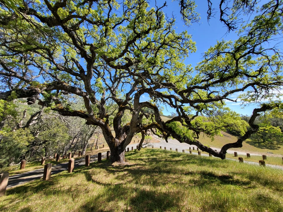 Danville | Community Guide
