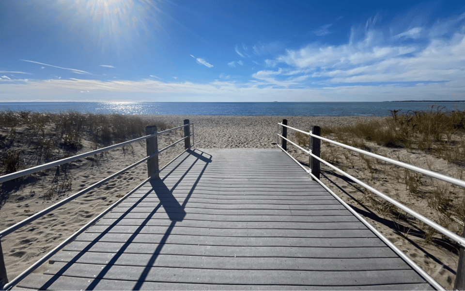 Preserving Shippan Point's Natural Beauty | Joshua Weisman