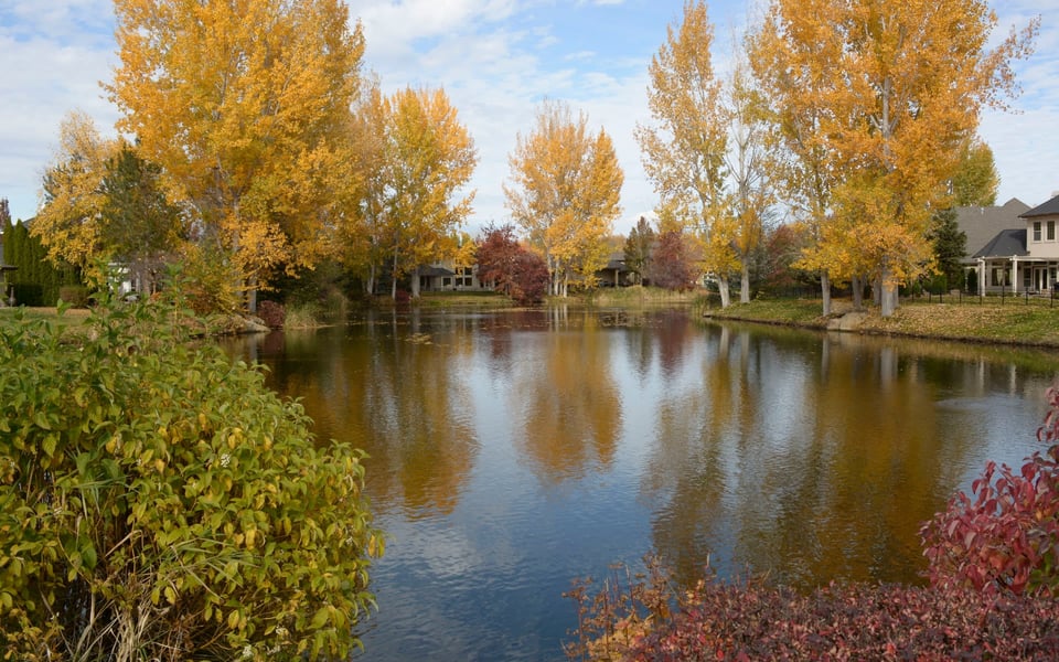 Eagle | Neighborhood Guide | Robert Santangelo