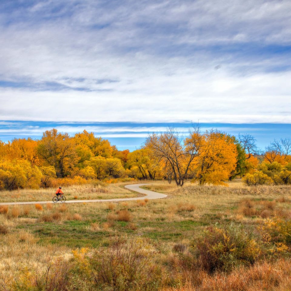 Littleton | Neighborhood Guide