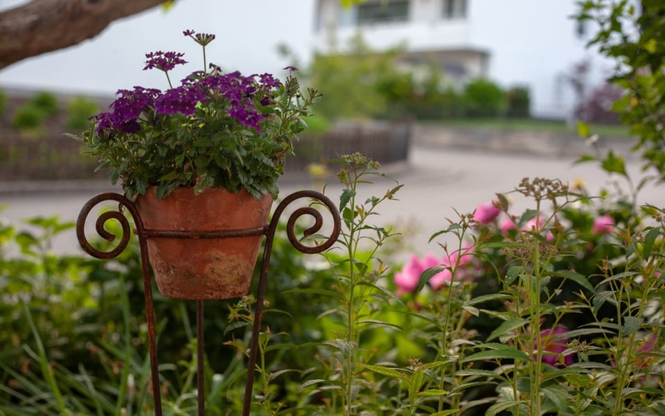 How to Renovate Your Backyard to Increase Home Value | Blog | The ...