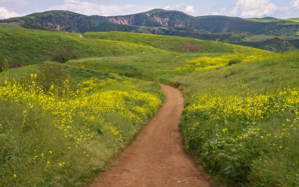 Chino Hills | Neighborhood Guide | Country Queen Real Estate