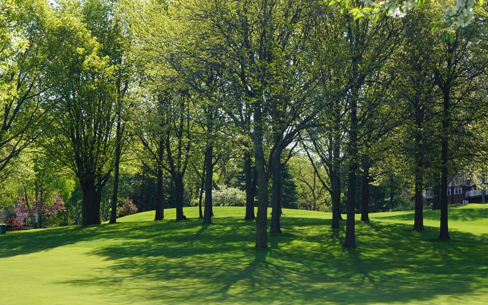 A Guide to Dilworth Parks | The Laws Collectives