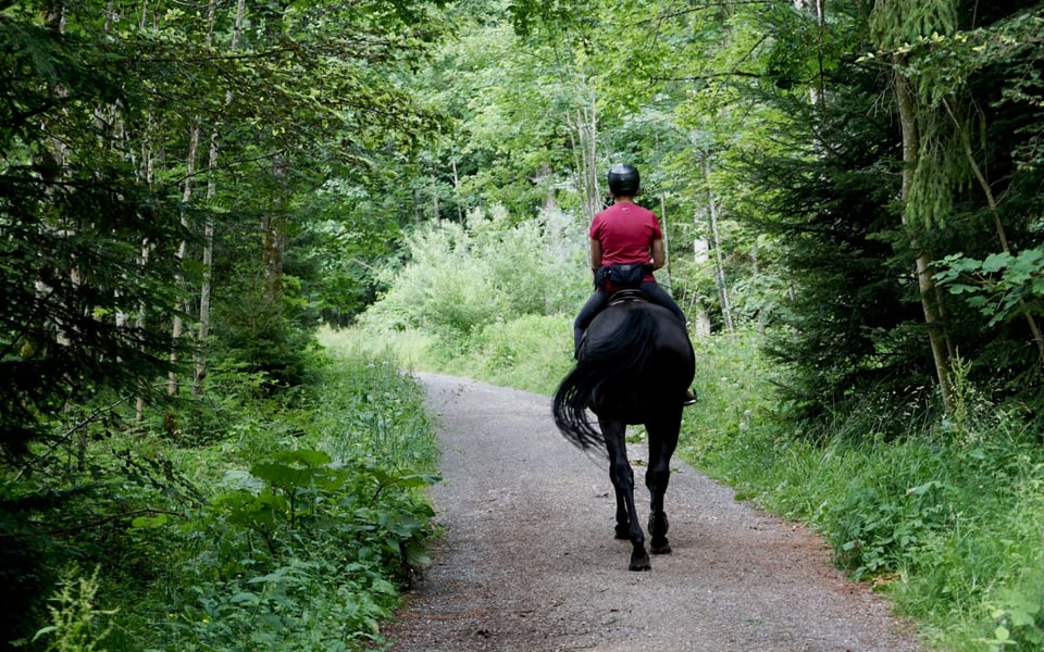 Living Near the Best Trails for Horseback Riding in Ketchum | Blog ...