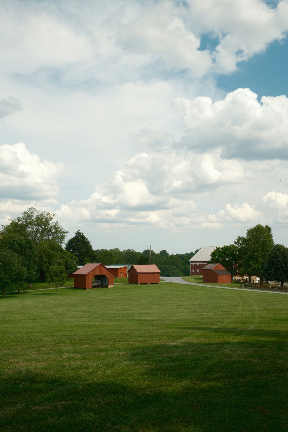 Neighborhood || MIDDLEBURY